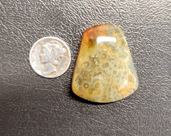 Translucent Ocean Jasper Cabochon - Etsy