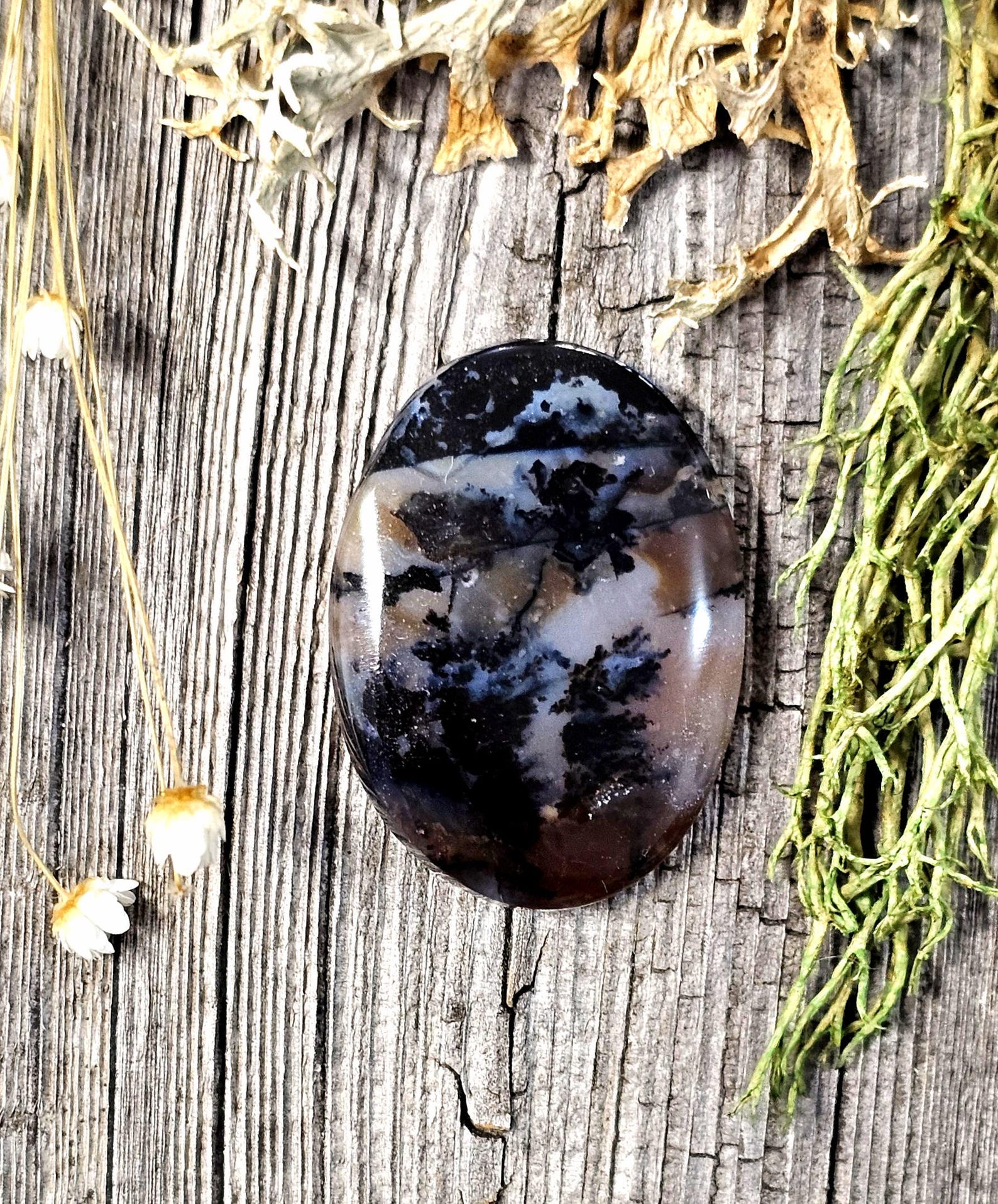 Dendritic Paiute Agate From Oregon. a Rare Stone With Great Character ...