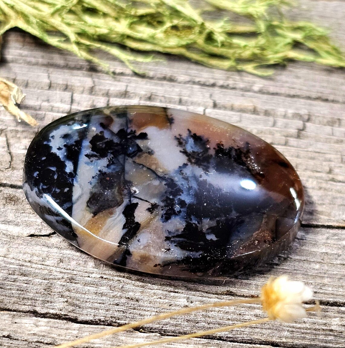 Dendritic Paiute Agate From Oregon. a Rare Stone With Great Character ...