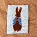Peter Rabbit Applique Embroidery Design File for Use With an Embroidery ...