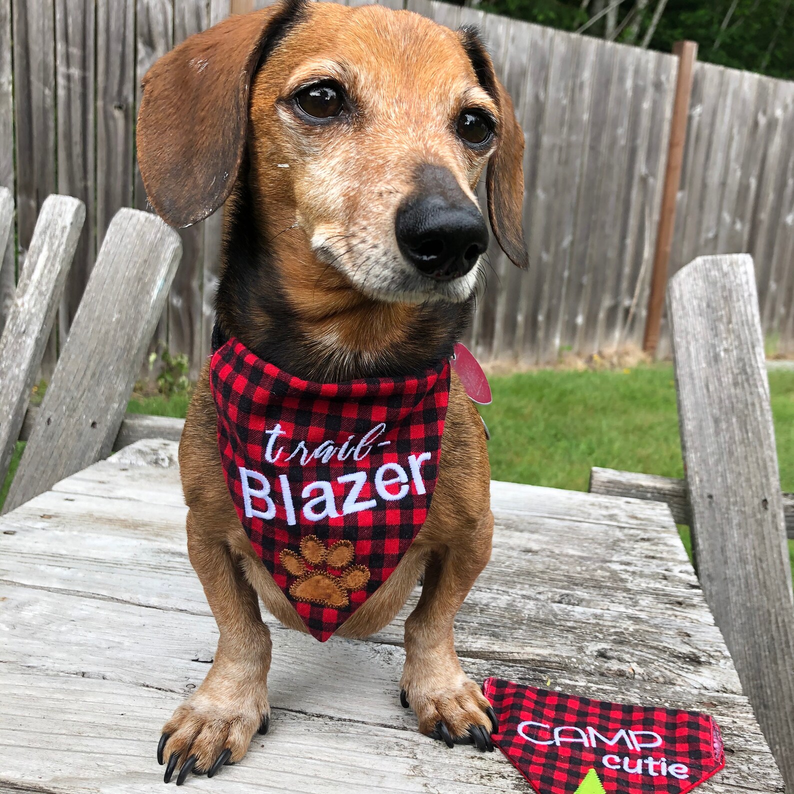 ITH Camping Bandanas Embroidery Design Set of 2 for Use With an ...