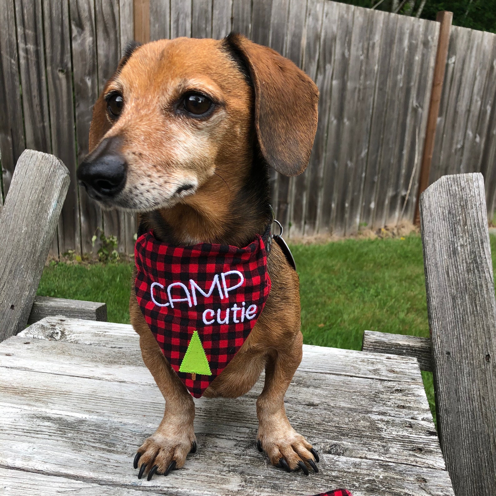 ITH Camping Bandanas Embroidery Design Set of 2 for Use With an ...