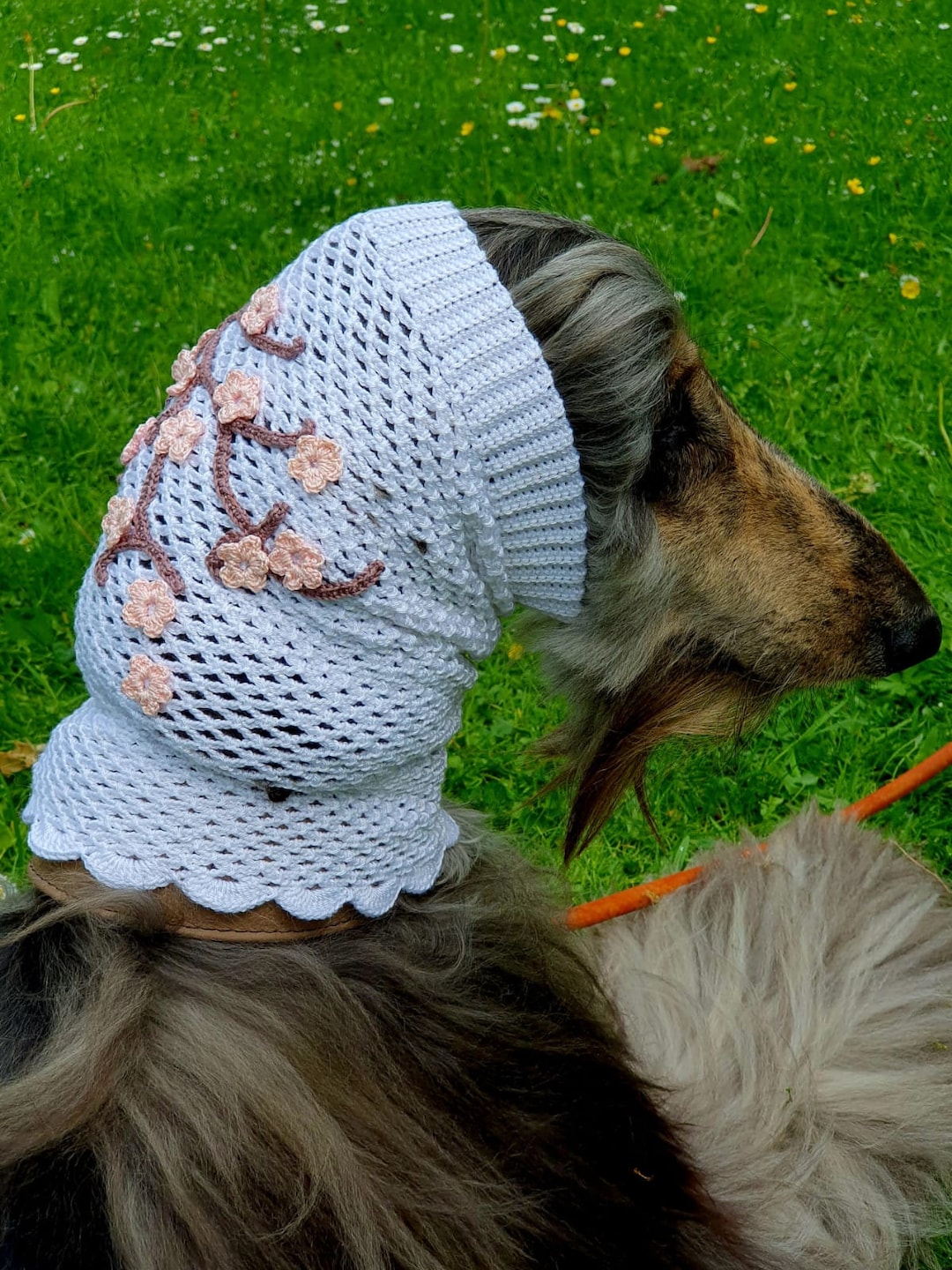Afghan Hound Snood Crocheted " SAKURA " - Etsy