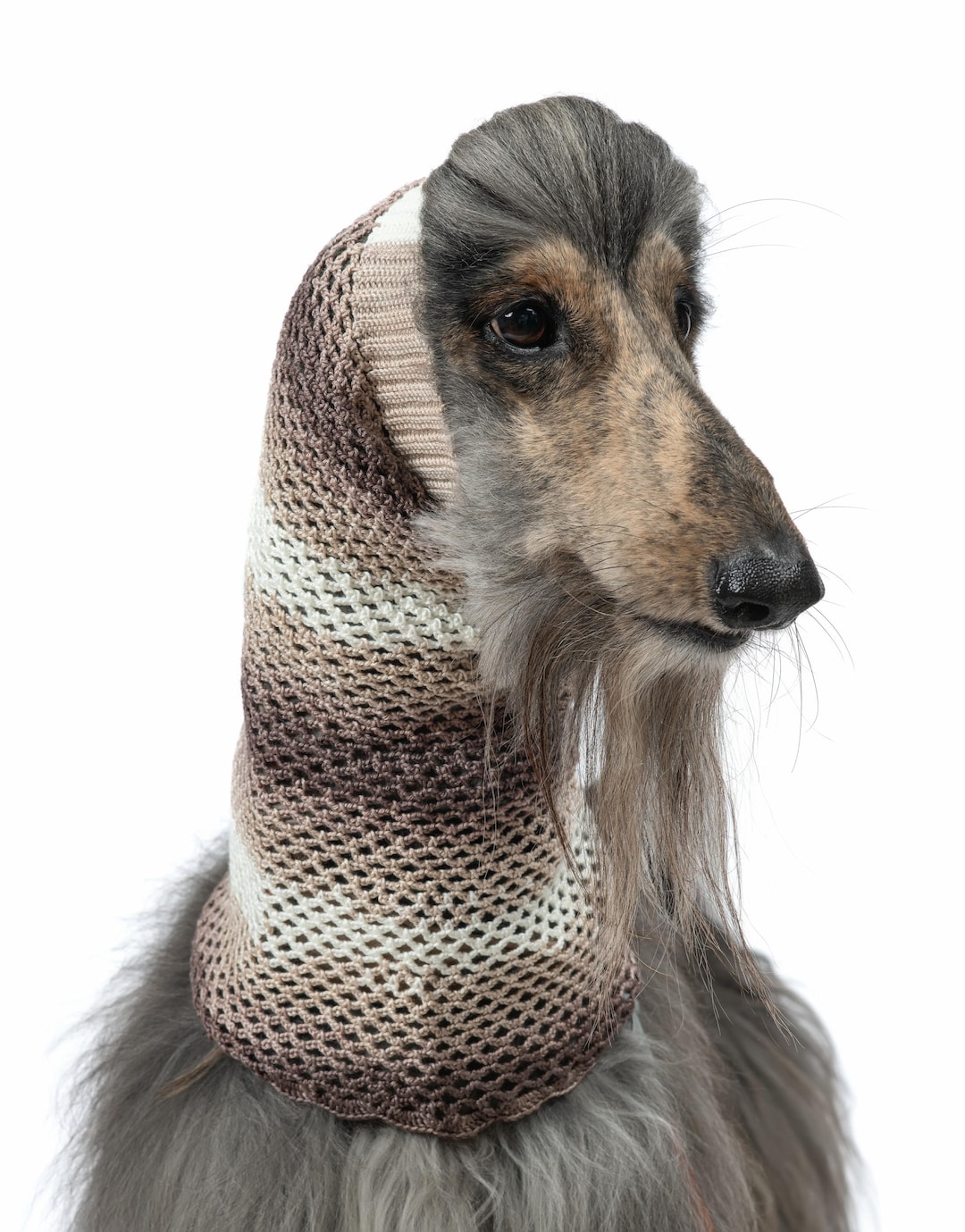 Afghan Hound Snood Crocheted " Latte" - Etsy