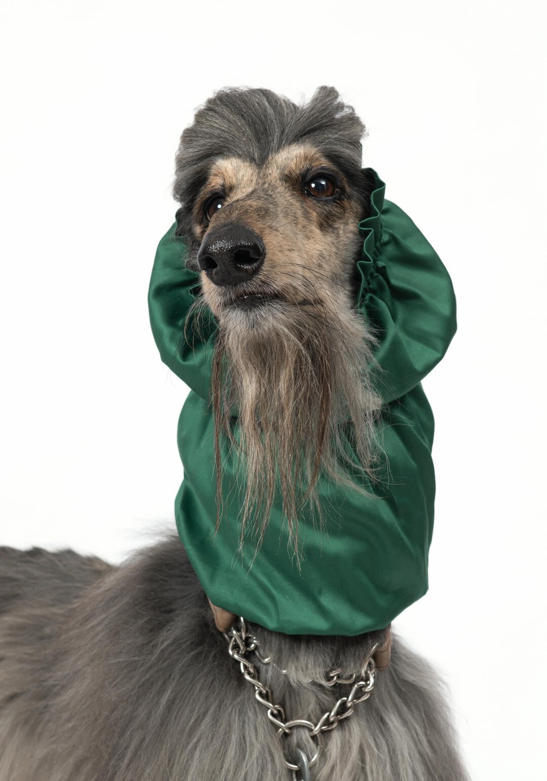 Afghan Hound Cotton Snood - Etsy
