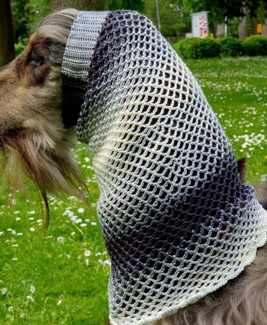 Afghan Hound Snood Crocheted - Etsy