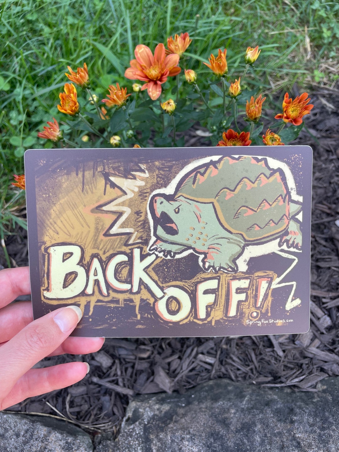 Back Off! Snapping Turtle Bumper Sticker, Gift for Outdoorsy People ...