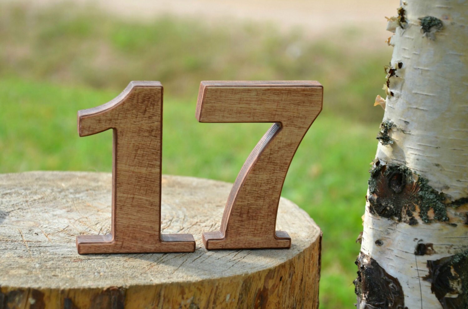 SALE 4 Inches Rustic Wooden Table Numbers Free Standing - Etsy