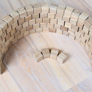 100 Oak Wood Blocks Ash Wood Building Blocks Small Wood Cubes Building ...