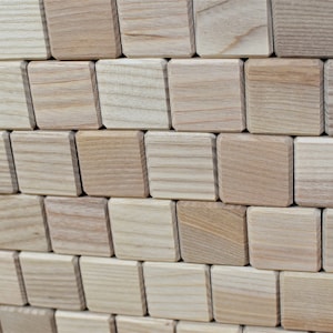 100 Oak Wood Blocks Ash Wood Building Blocks Small Wood Cubes Building ...
