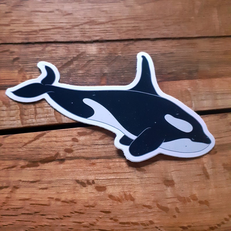 Awesome Orca Sticker Cute Ocean Animal Vinyl Sticker Black | Etsy