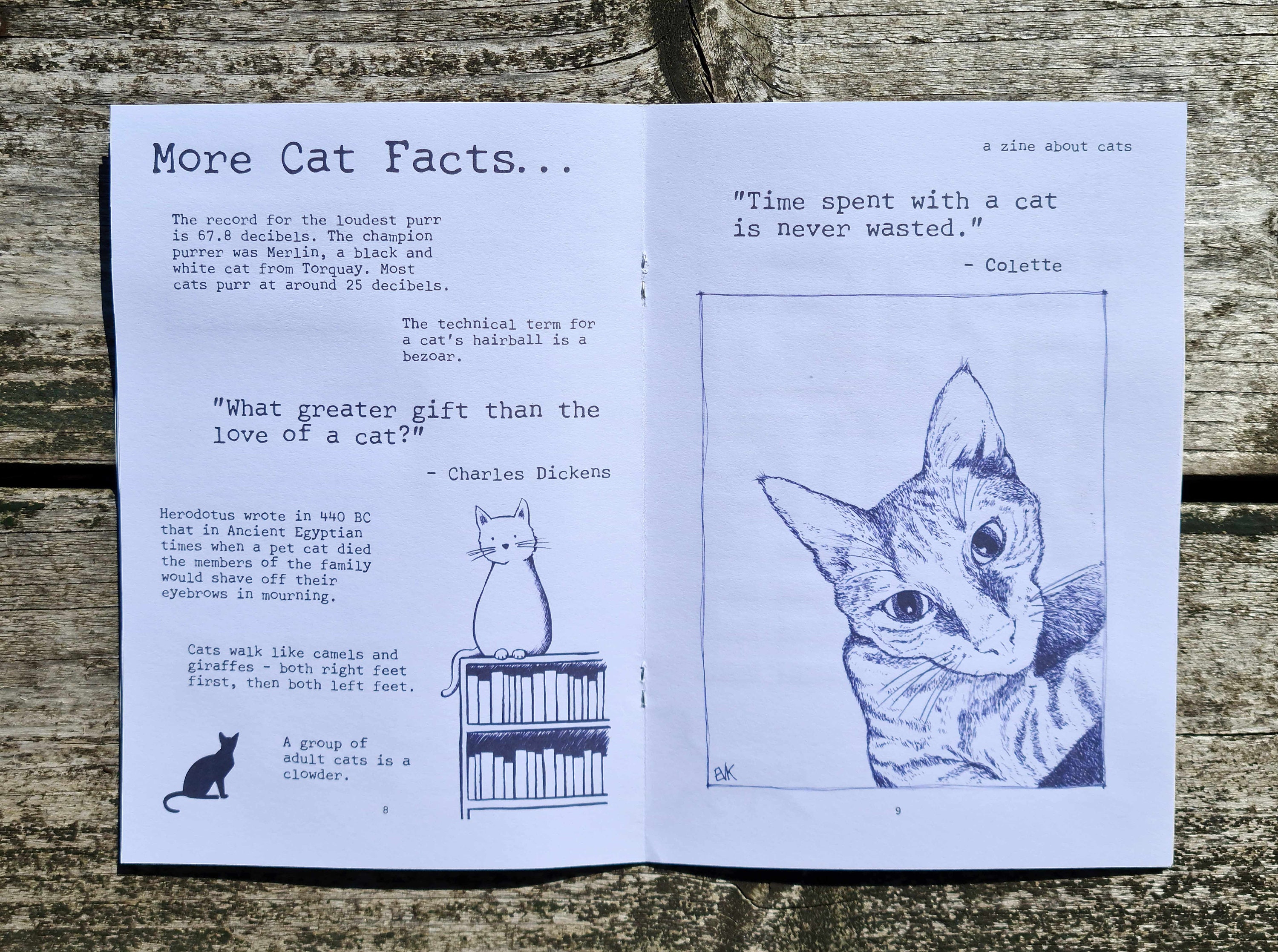 Cats Zine: handmade zine with artwork cat facts and cat | Etsy