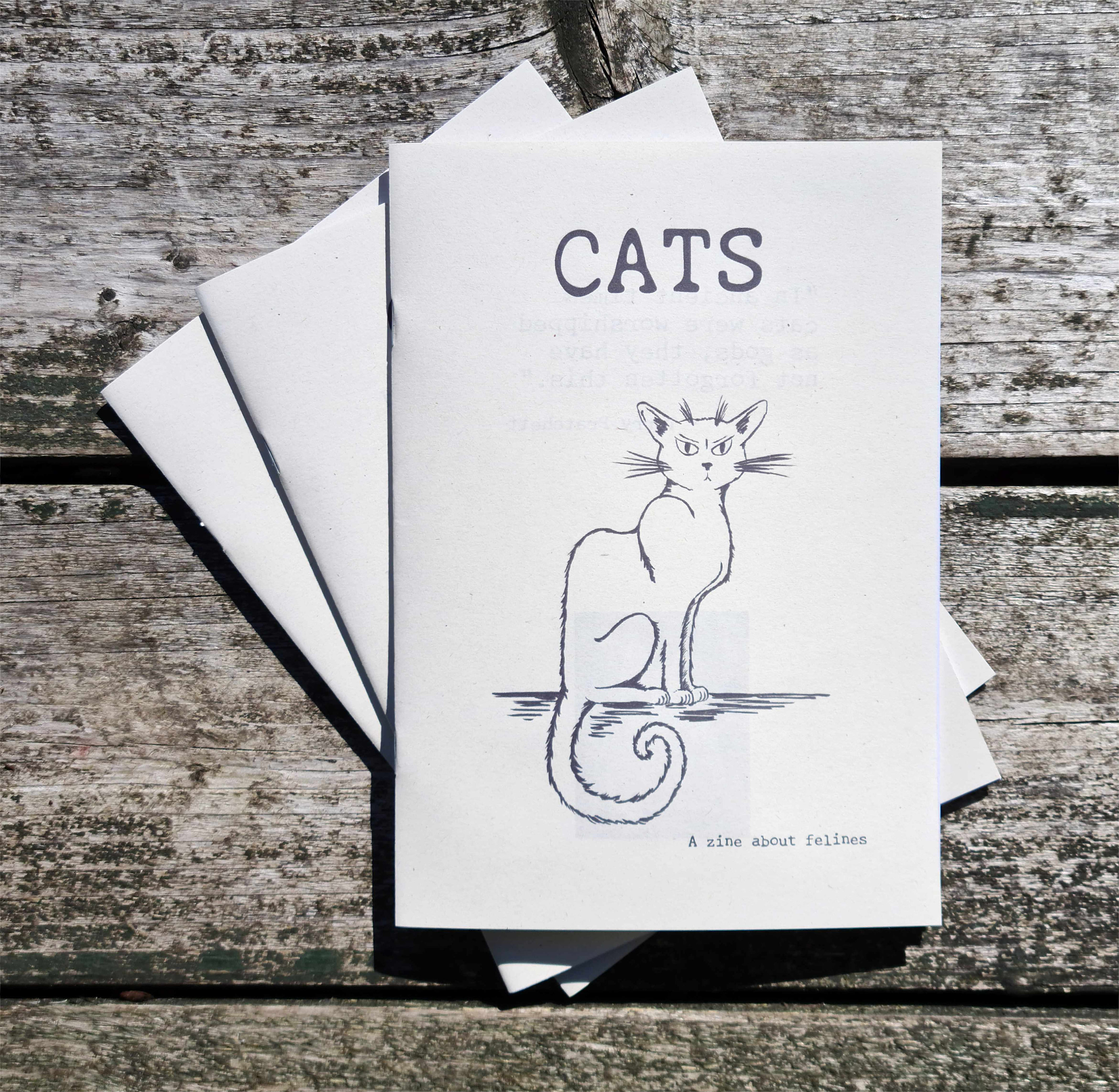 Cats Zine: handmade zine with artwork cat facts and cat | Etsy