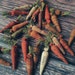 Primitive Miniature Carrot Pattern - Etsy