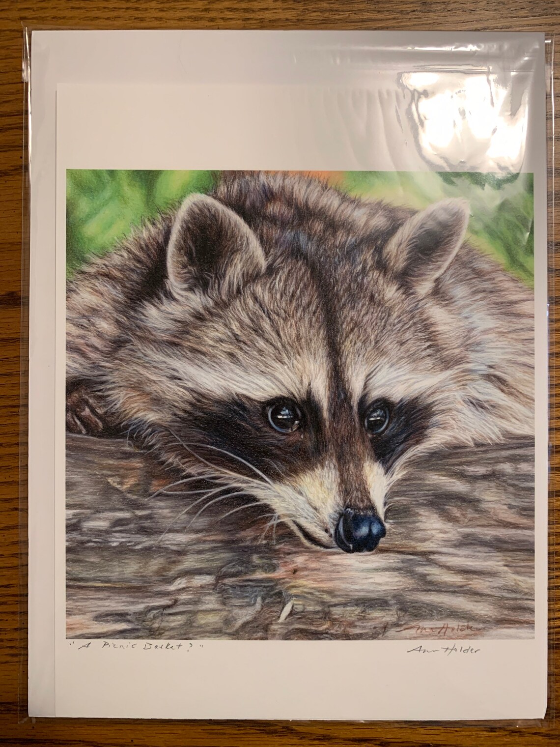 Raccoon Signed Archival Print picnic Basket Giclee Prints - Etsy