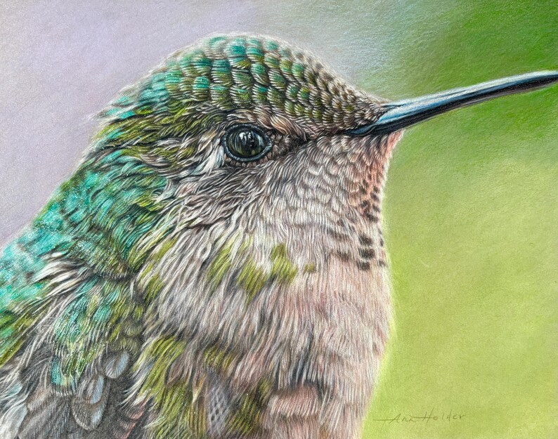 Original Certified Hummingbird Drawing Strong and Courageous Joshua 1:9 ...