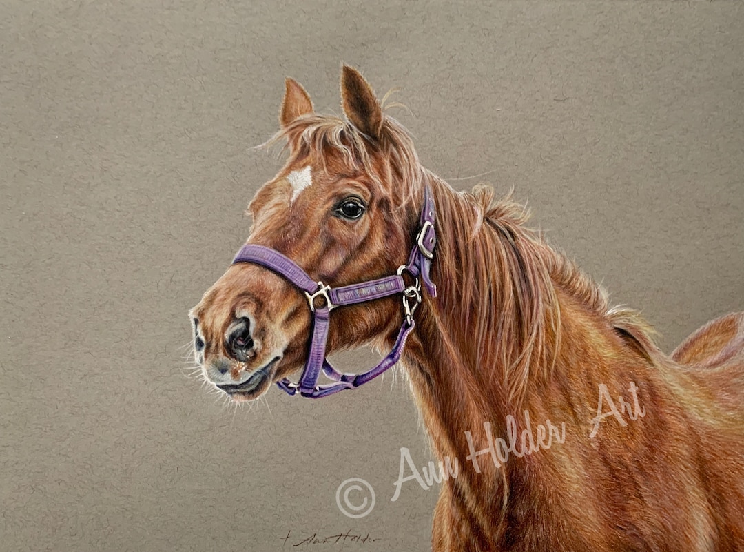 ORIGINAL Horse Certified Artwork sorrel 9 X 12 Original Colored Pencil ...