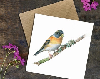 Blossom the Peacock - Greeting Card, Animal Card, Birthday Card, Thank ...