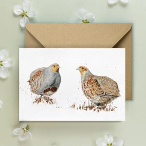 English Partridge - Greeting Card, Blank, Thank You, Birthday, Occasion ...