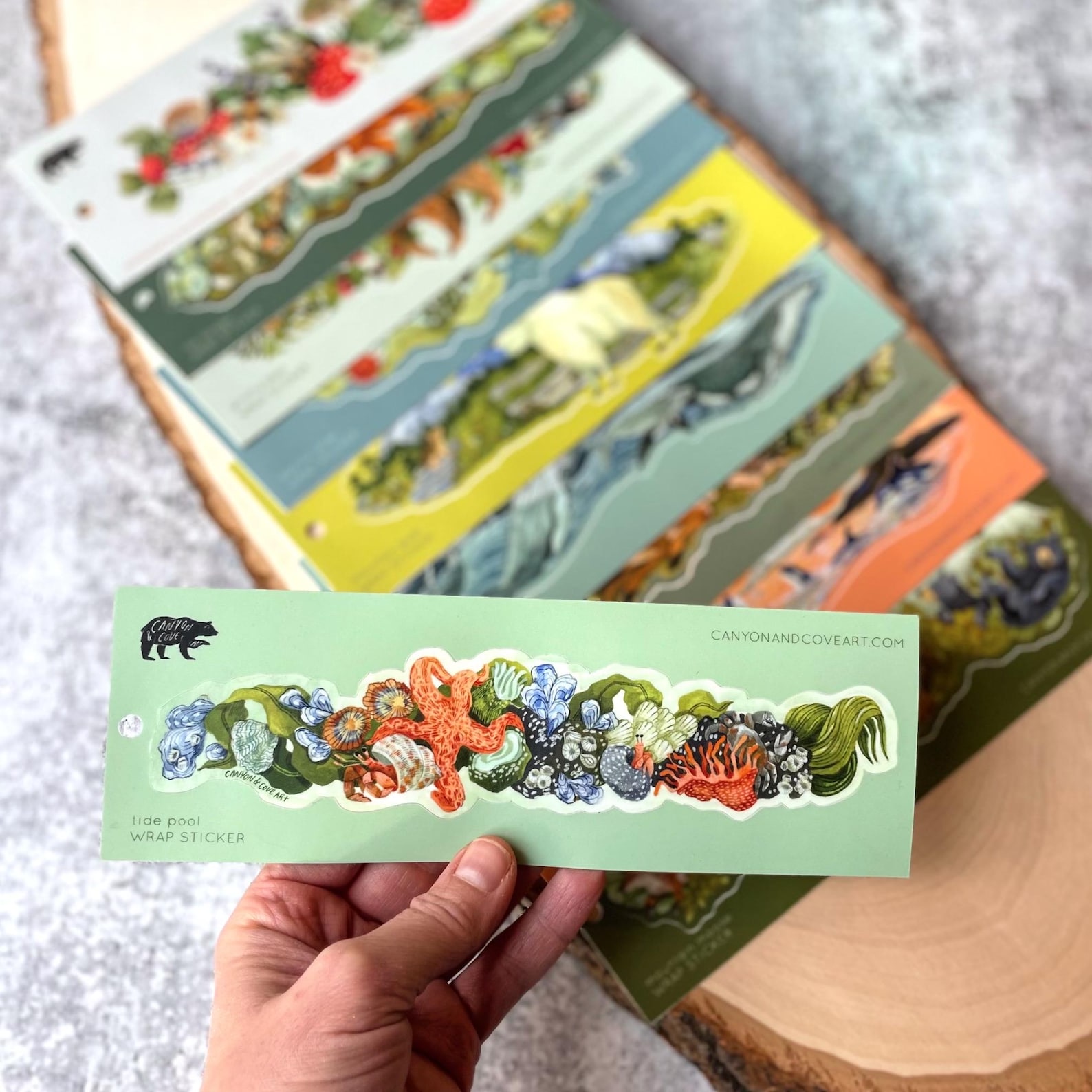 Tide Pool Wrap Sticker | Premium Die Cut Wrap Vinyl Stickers | for ...