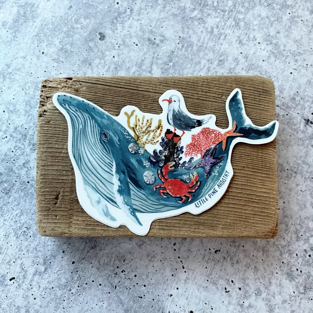 Humpback Whale Sticker Premium Die Cut Vinyl Stickers for - Etsy