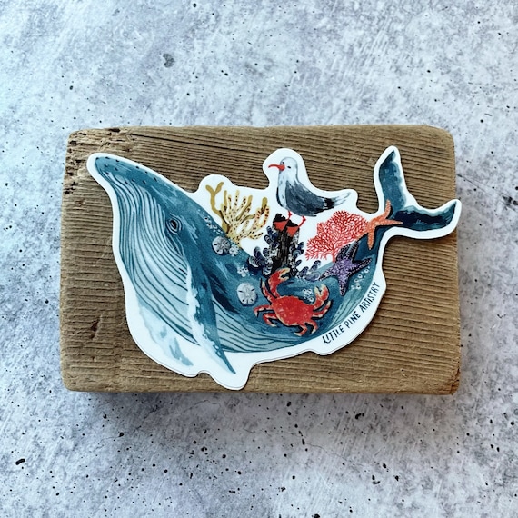 Humpback Whale Sticker Premium Die Cut Vinyl Stickers for | Etsy