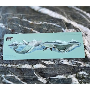 Wrap Sticker Combo Pack | Premium Die Cut Wrap Vinyl Stickers | for ...