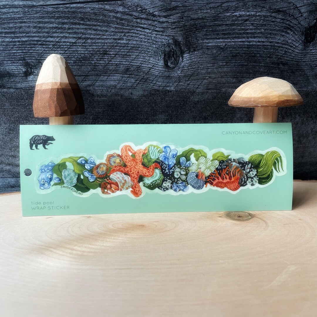 Tide Pool Wrap Sticker | Premium Die Cut Wrap Vinyl Stickers | for ...