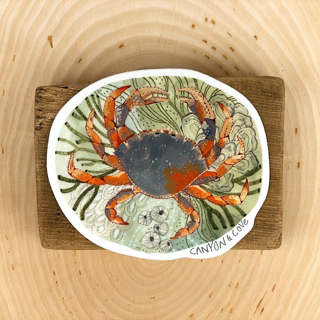 Tide Pool Crab Sticker | Premium Die Cut Vinyl Stickers | for Laptops ...