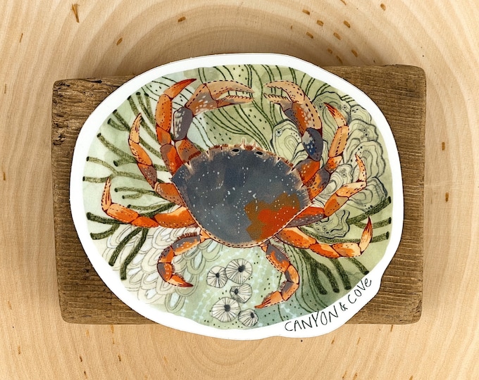 Crab Sticker, Vinyl Stickers, MacBook Sticker Pack, Florida Laptop ...