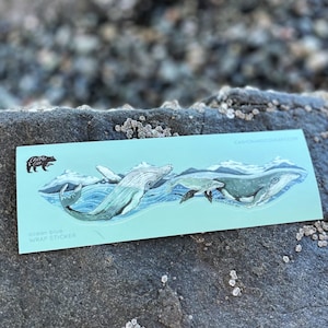 Ocean Blue Wrap Sticker | Premium Die Cut Wrap Vinyl Stickers | for ...