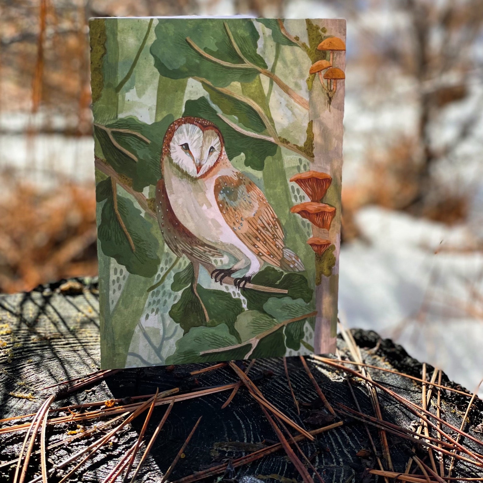 Forest Barn Owl Card | Birthday Card, Woodland Animal Cards, Whimsical ...