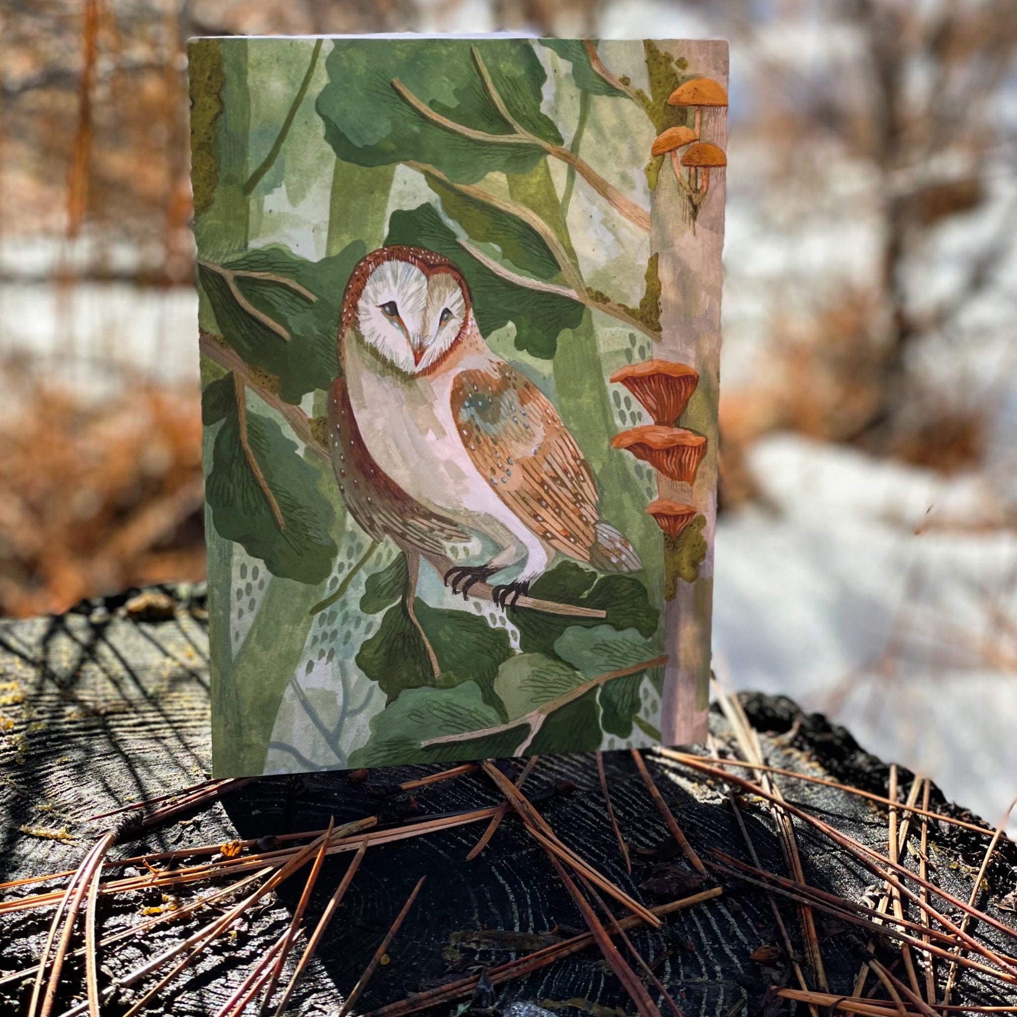 Forest Barn Owl Card | Birthday Card, Woodland Animal Cards, Whimsical ...