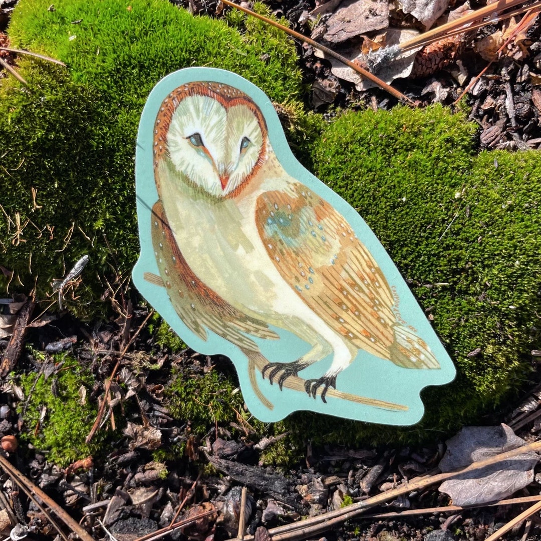 Forest Barn Owl Sticker | Premium Die Cut Vinyl Stickers | for Laptops ...