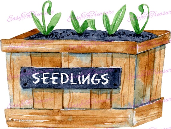 Digital Download Clipart Garden Seedlings Flower Box JPEG | Etsy