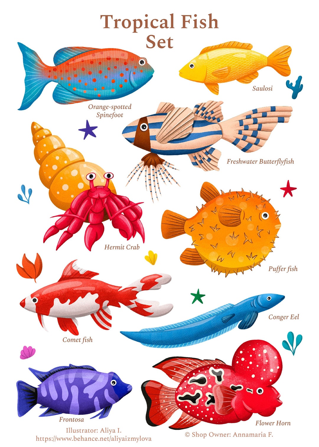 Digital Download Clipart – Variety of Beautiful Tropical Fish Including ...