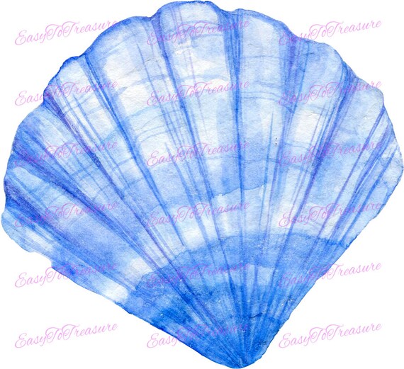 Digital Download Clipart Blue and White Sea Shell JPEG and | Etsy