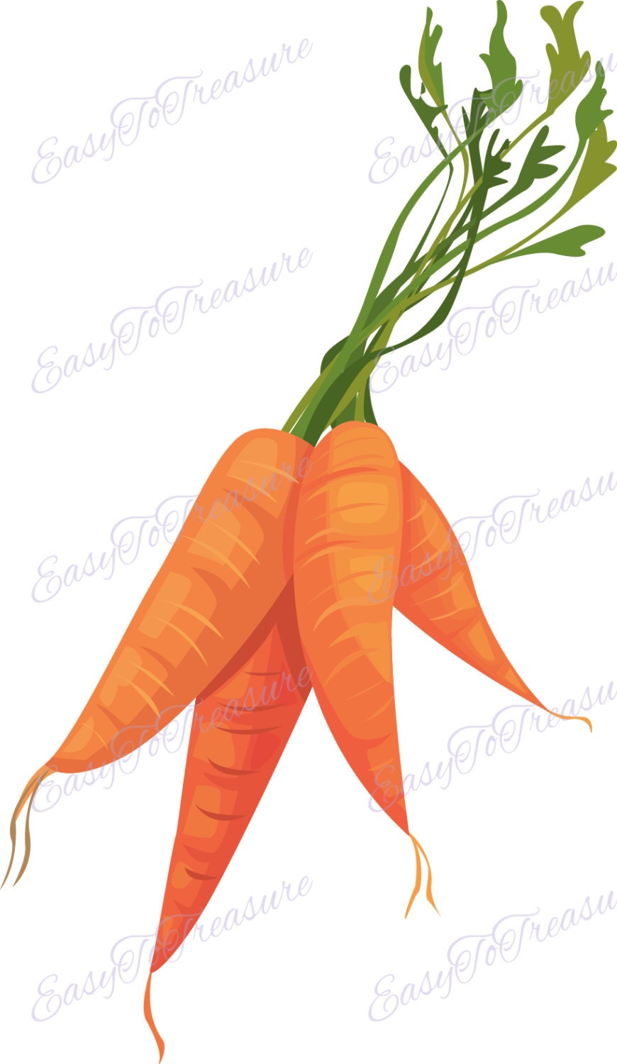 Digital Download Clipart – Vegetable Spring Carrots JPEG and PNG Files ...