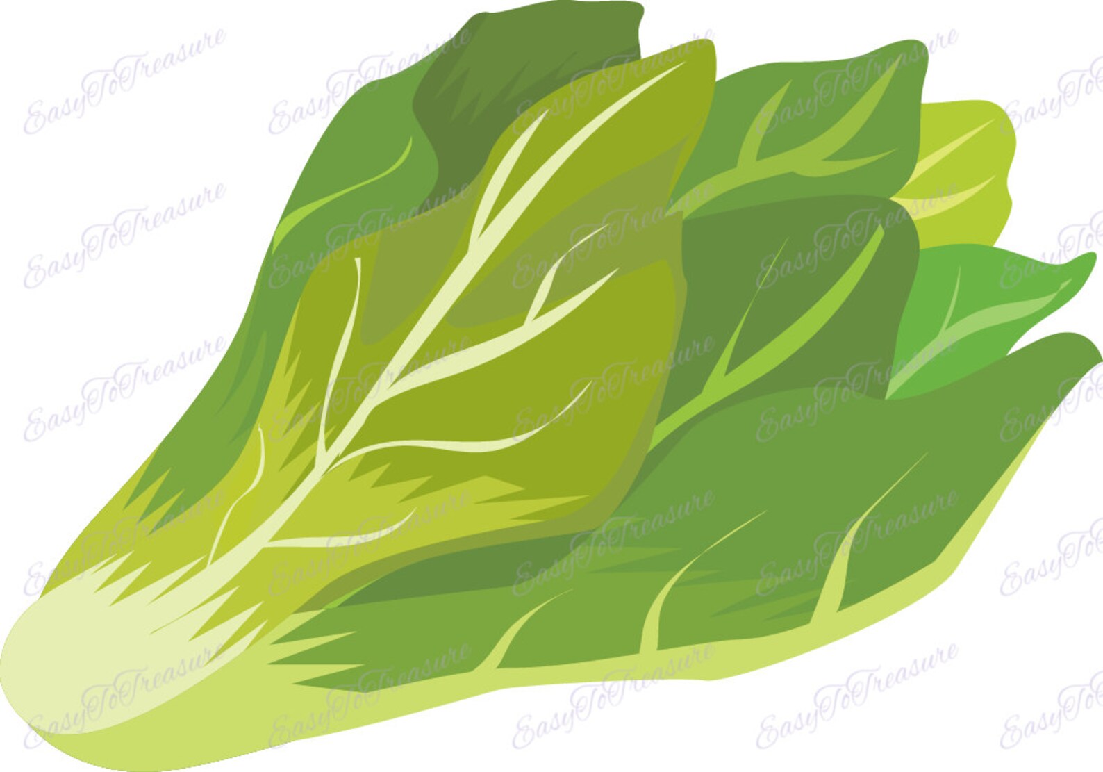 Digital Download Clipart – Lettuce Leafy Vegetable JPEG and PNG Files ...