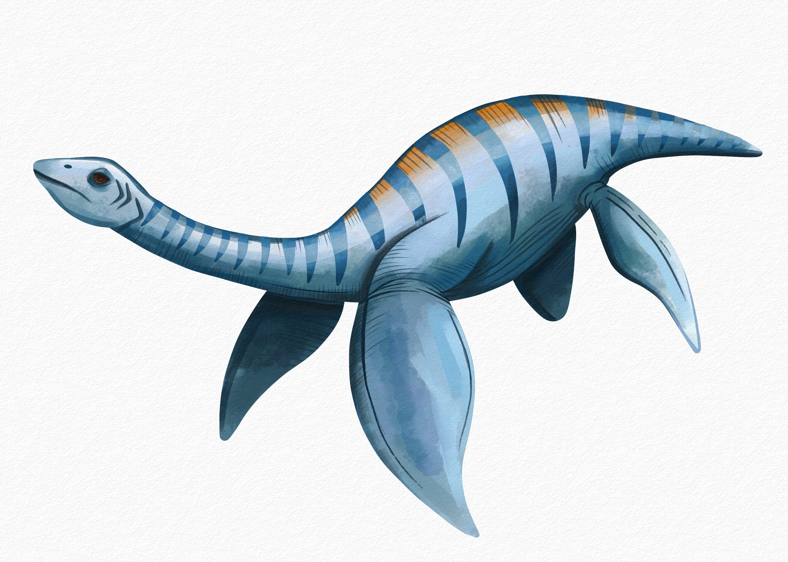 Digital Download Clip Art--jurassic Creatures--fascinating Dinosaurs ...