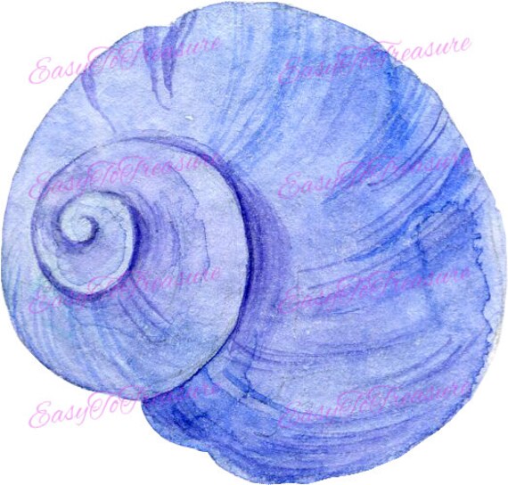 Digital Download Clipart Blue Shell JPEG and PNG Files | Etsy