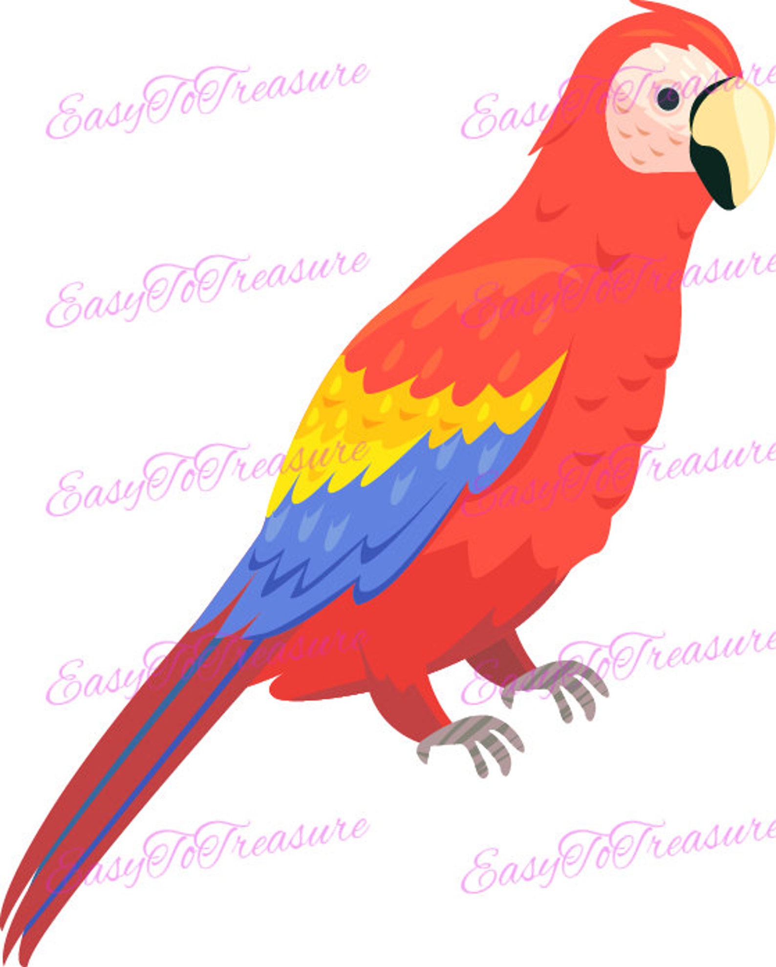 Digital Download Clipart Parrot Bird Clipart Design JPEG and | Etsy