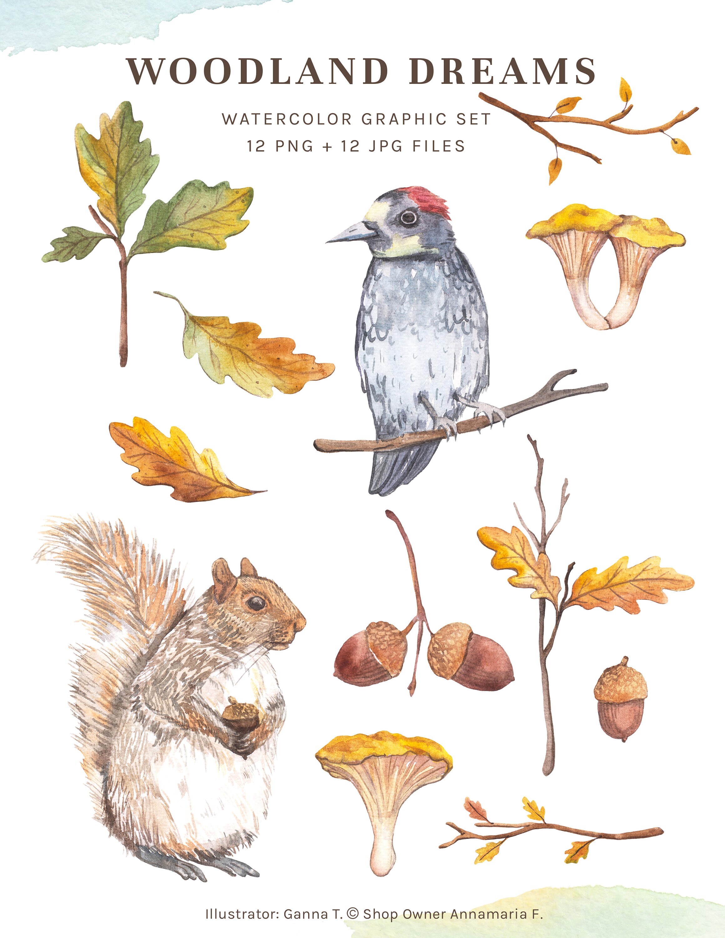 Digital Download Clip Artwoodland Dreamswoodland Animals and Plants - Etsy