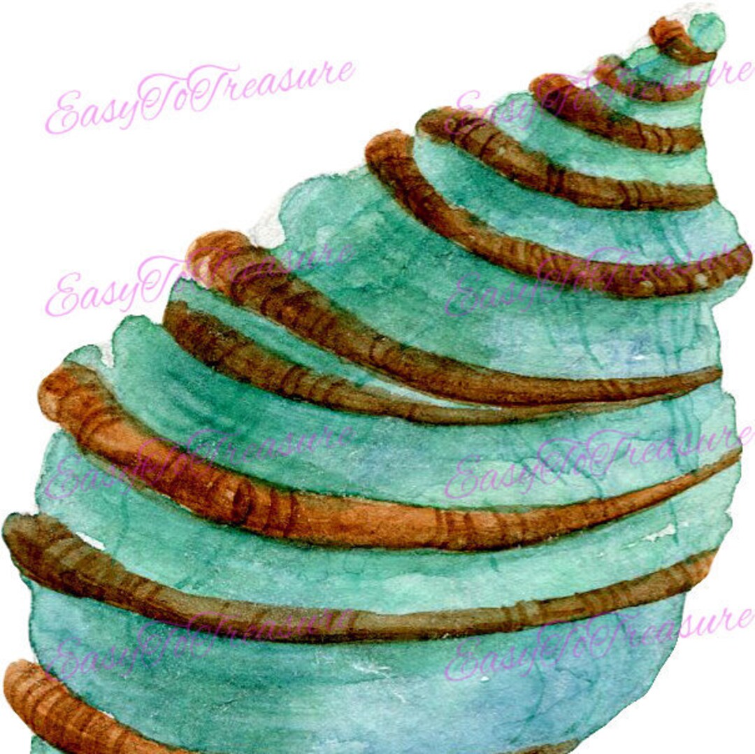 Digital Download Clipart – Teal and Brown Shell JPEG and PNG Files - Etsy