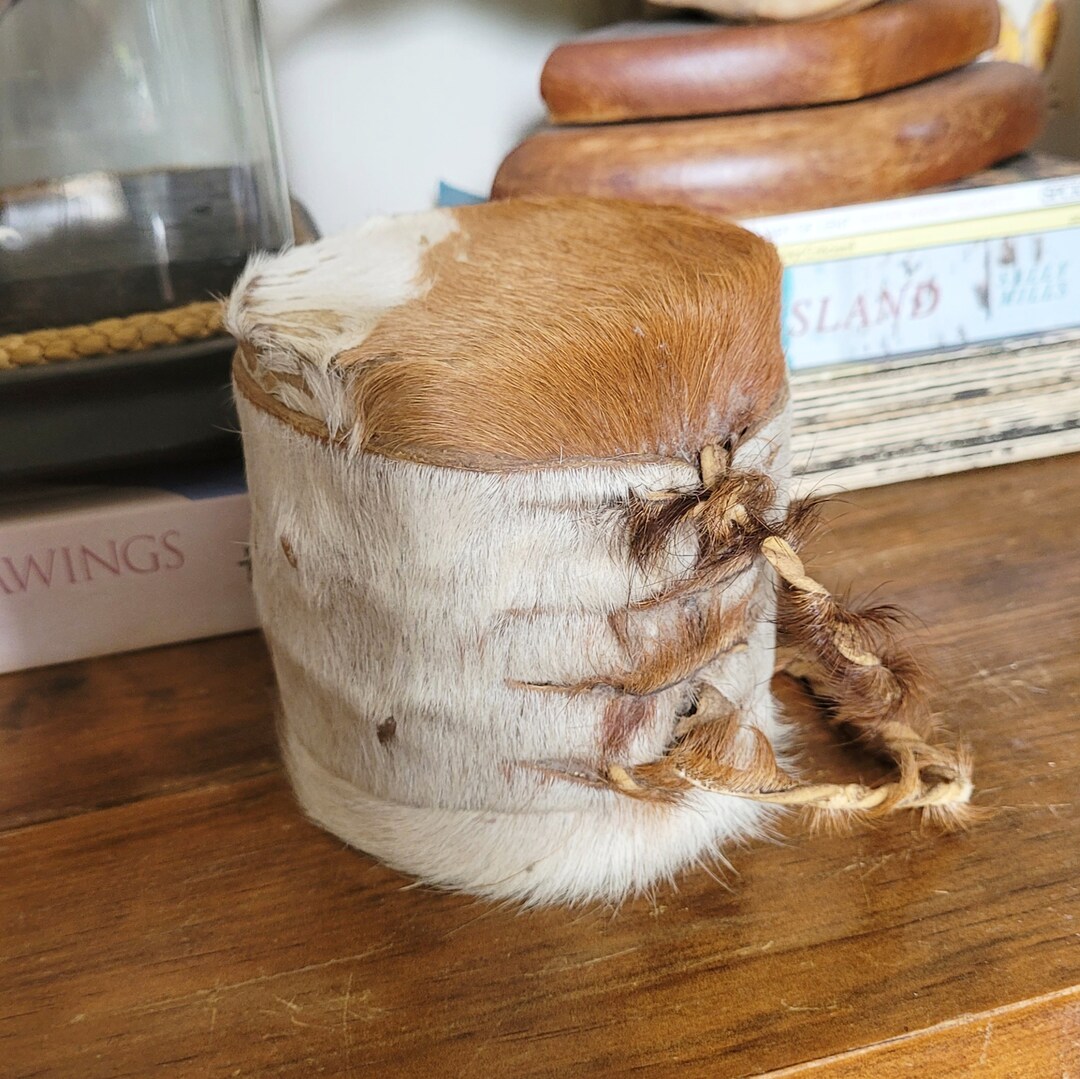 Vintage Drum South African Goat Skin Mini Bongo Drum, Taxidermy ...