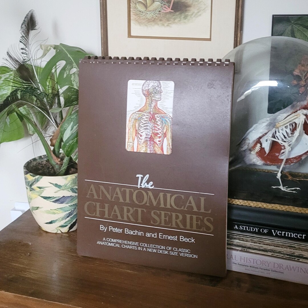 Vintage Anatomical Charts Large Book of Anatomical Medical Diagrams ...
