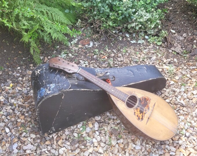 Antique Mandolin ~ Italian 1920's Bowl Back Lazzaro Ornate Instrument ...