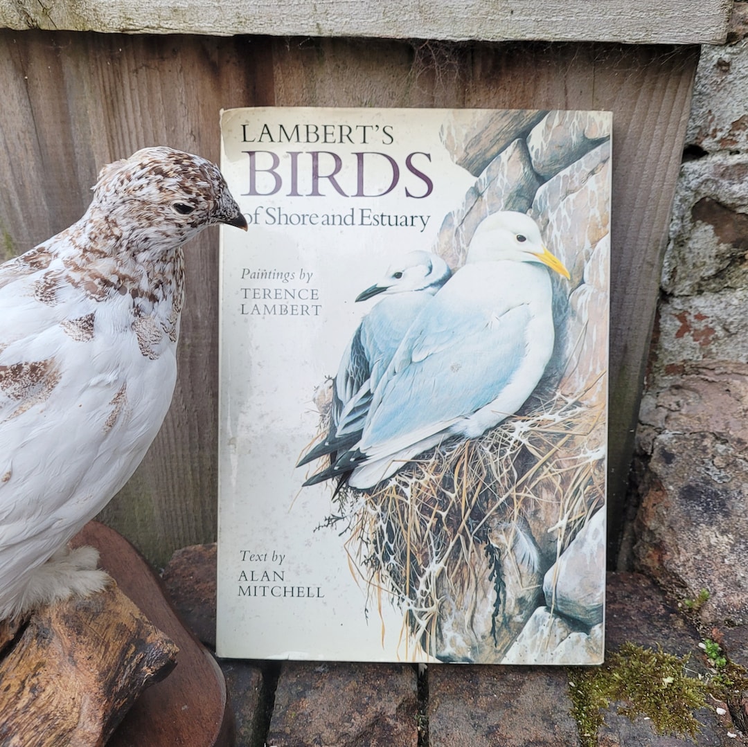 Vintage Bird Book 1970's Birds of Shore & Estuary Hardback, Beautiful ...