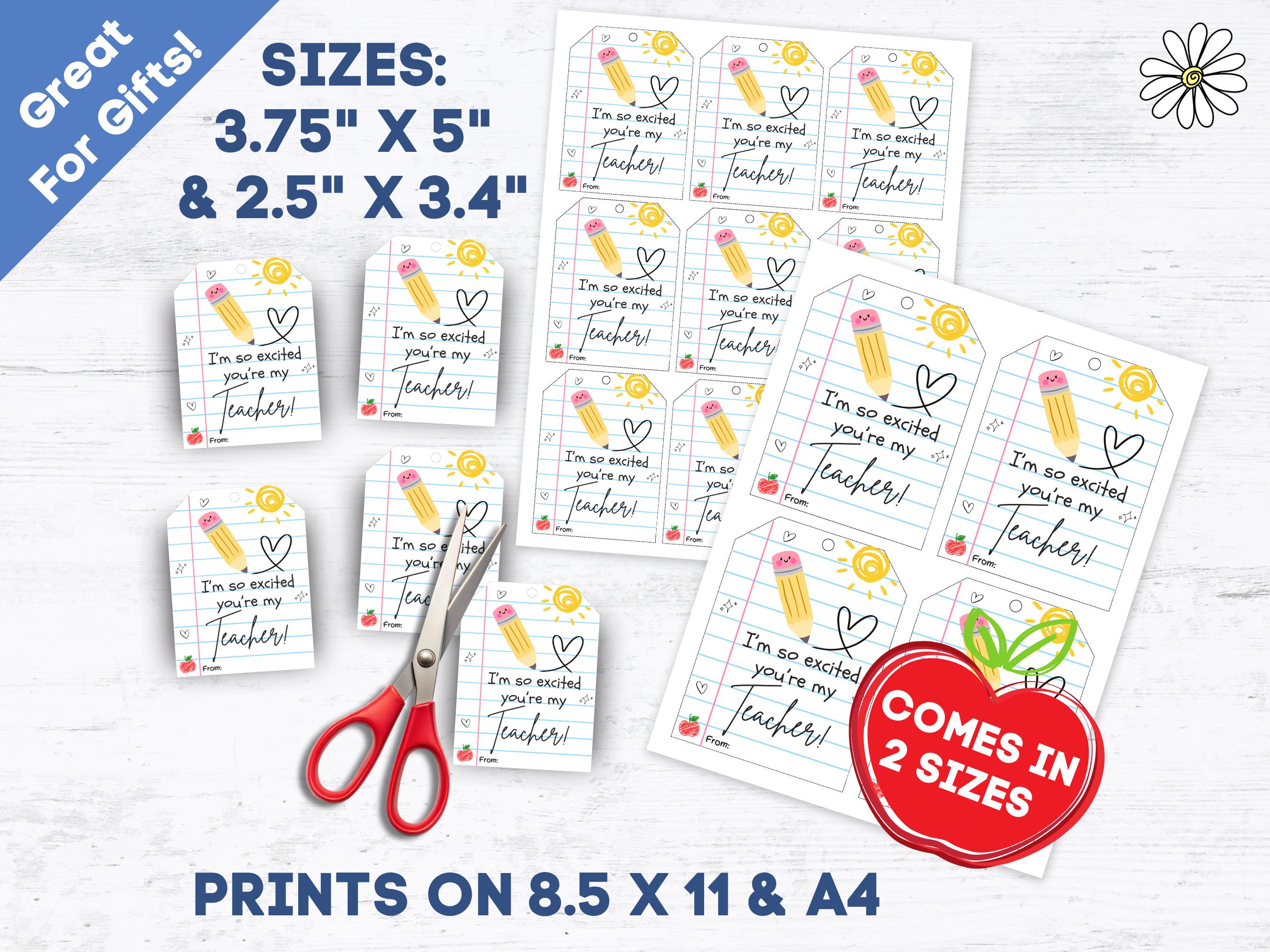 I’m so Excited You’re My Teacher Tag | Printable Teacher Gift Tag PDF ...