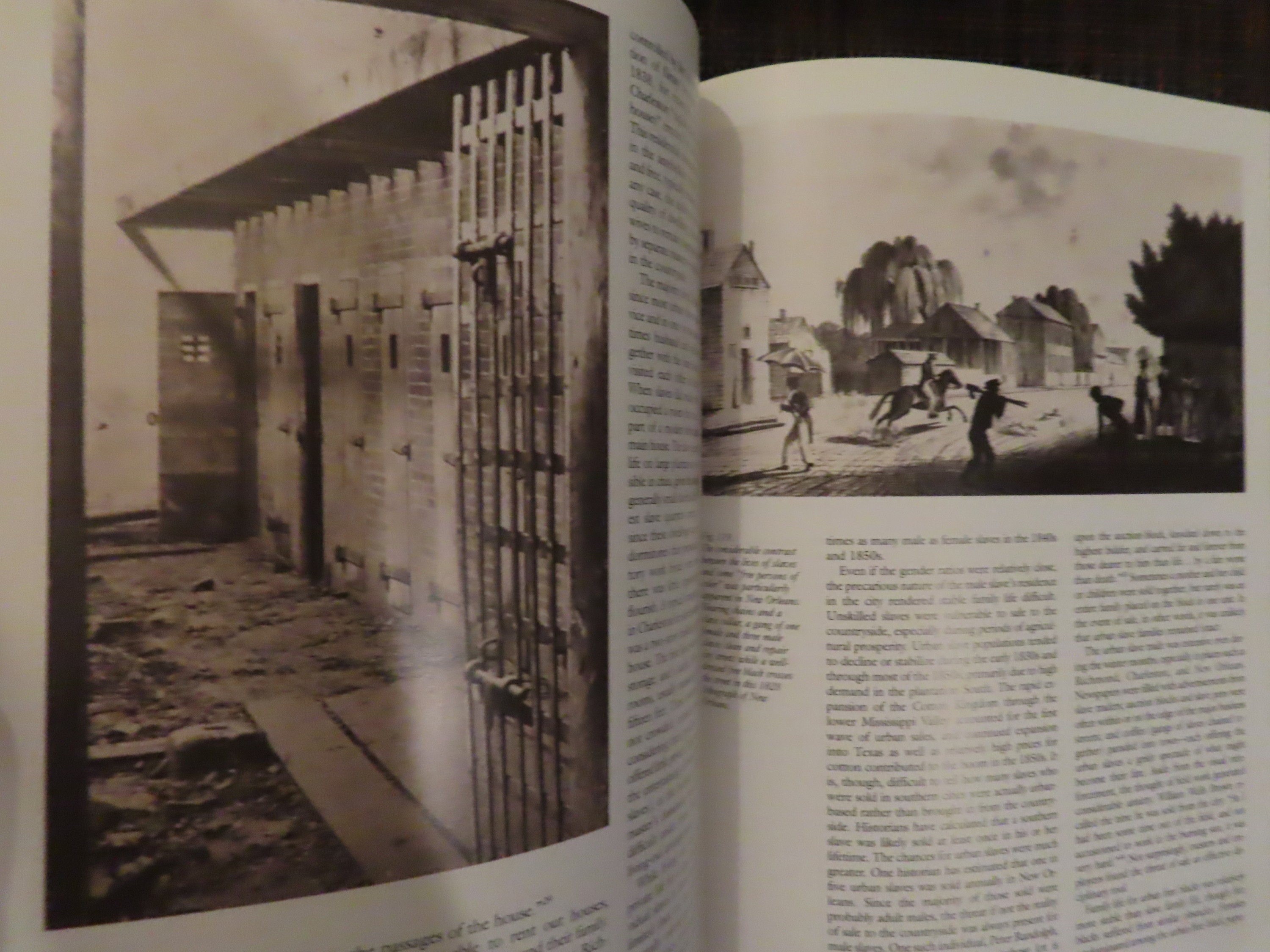 Before Freedom Came African American Life in the Antebellum South 1992 ...